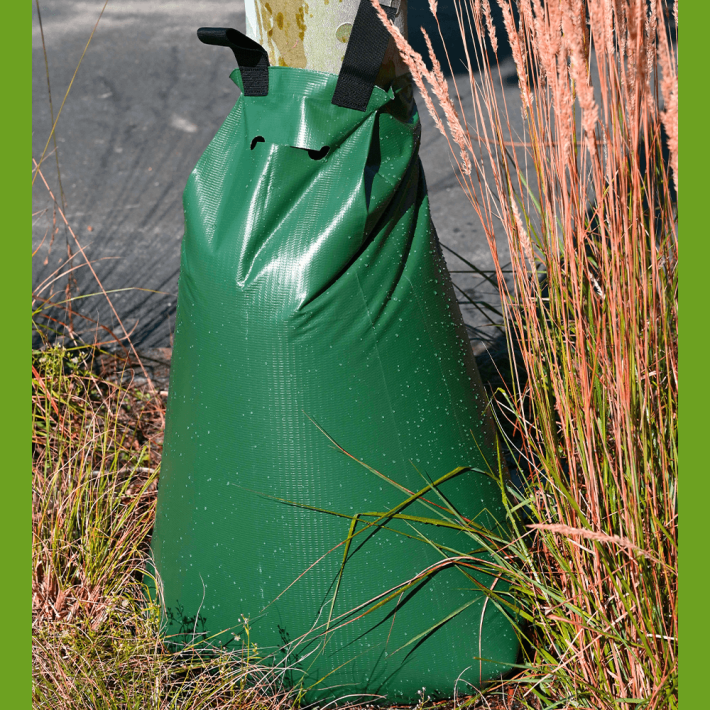 Wassersack Big Water 75 kaufen | Ahrens+Sieberz - Pflanzenversand ...