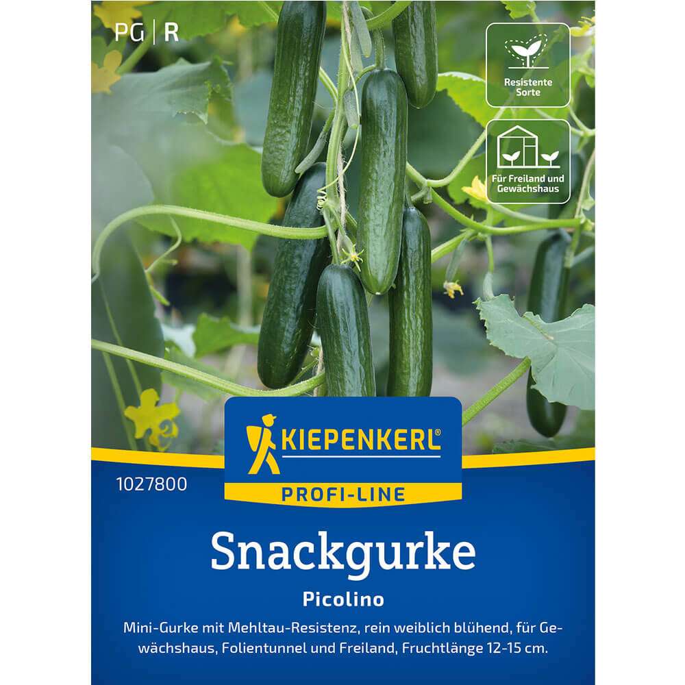 Mini-Snack-Gurke 'Picolino' F1 | Gurken | Gemüsesamen | Gemüse | Ahrens ...